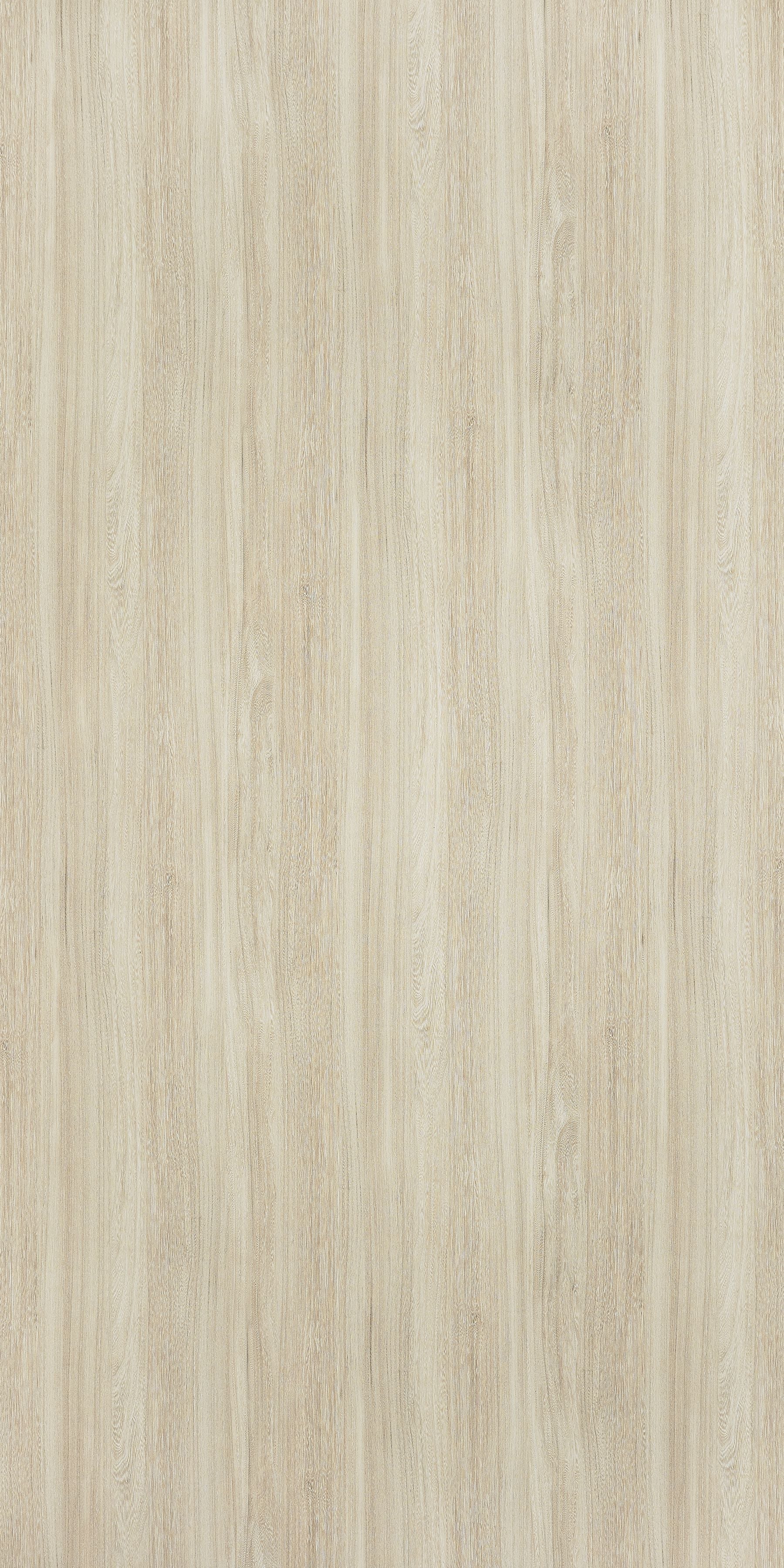 CR6404 - Bleached Elm – FORMICA (ASIA) LTD.