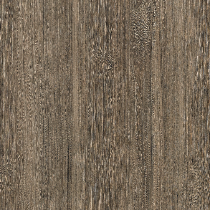 6406 - Mocha Elm – FORMICA (ASIA) LTD.